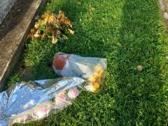 Službene internet stranice - Općina Kaptol